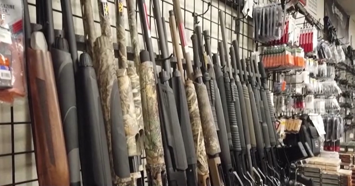 San Jose Gun Owners Need Liability Insurance | NTD