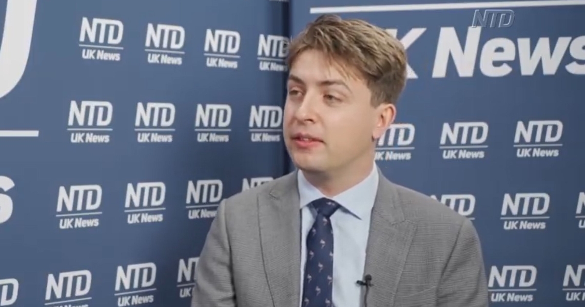 Wind Energy: Is It Environmentally Friendly? | NTD