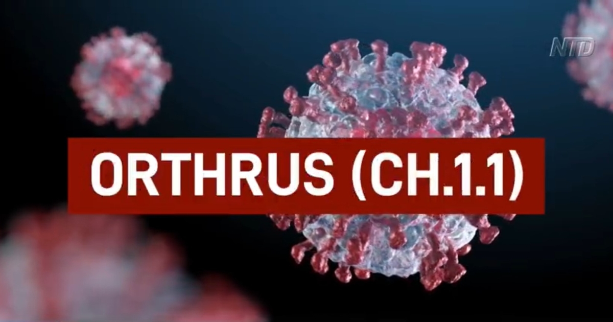 China, US Tracking New Omicron Strain ‘Orthrus’ | NTD