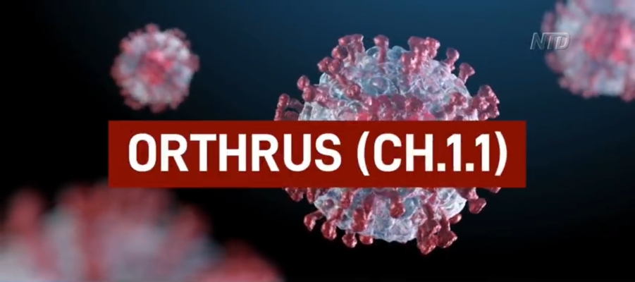 China, US Tracking New Omicron Strain ‘Orthrus’ | NTD