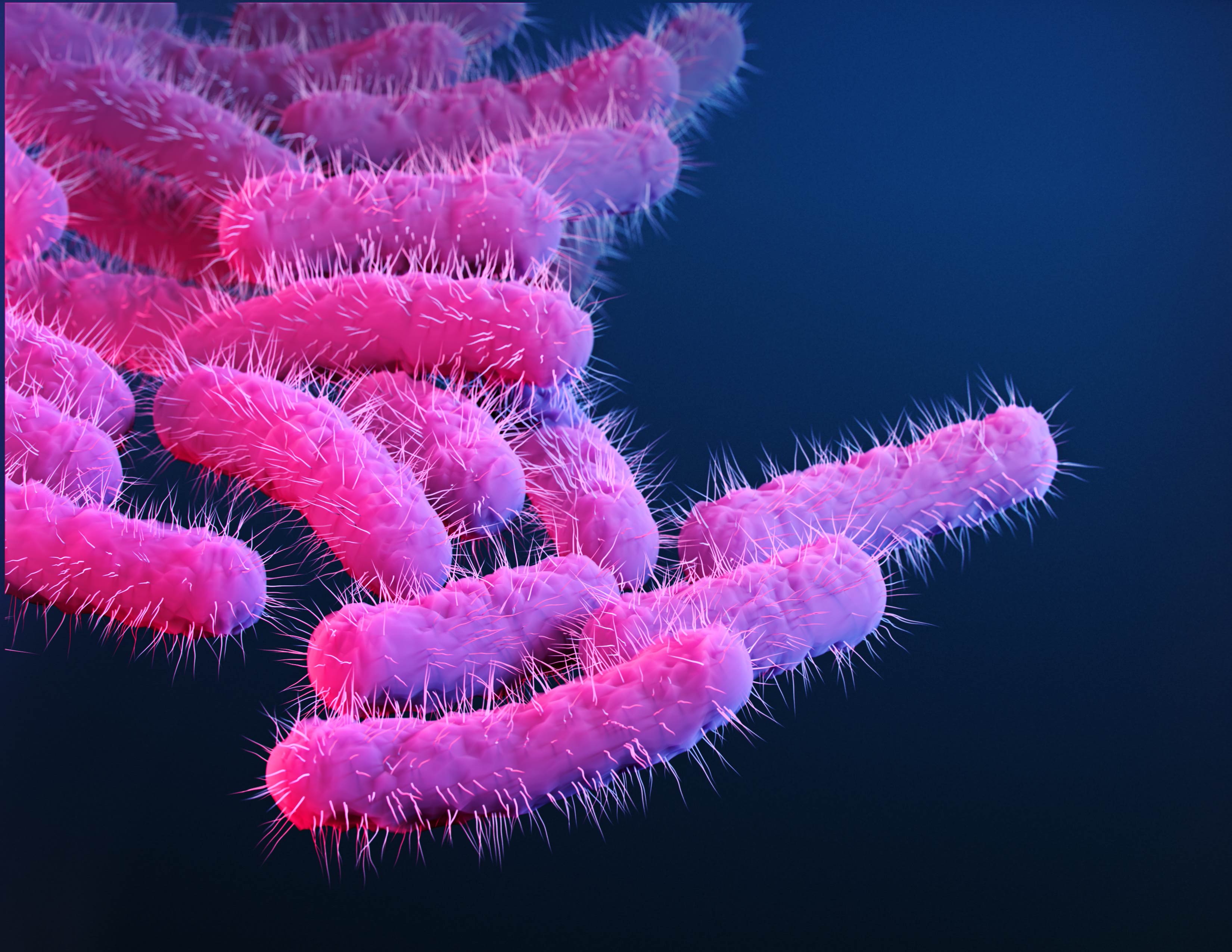 CDC Issues Warning Over an Increase of Drug-Resistant Bacteria | NTD