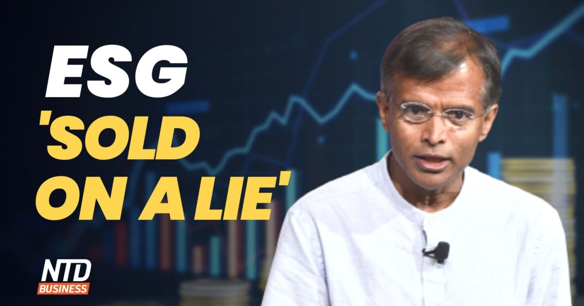ESG Is ‘Sold on a False Promise’: NYU Professor Damodaran | NTD
