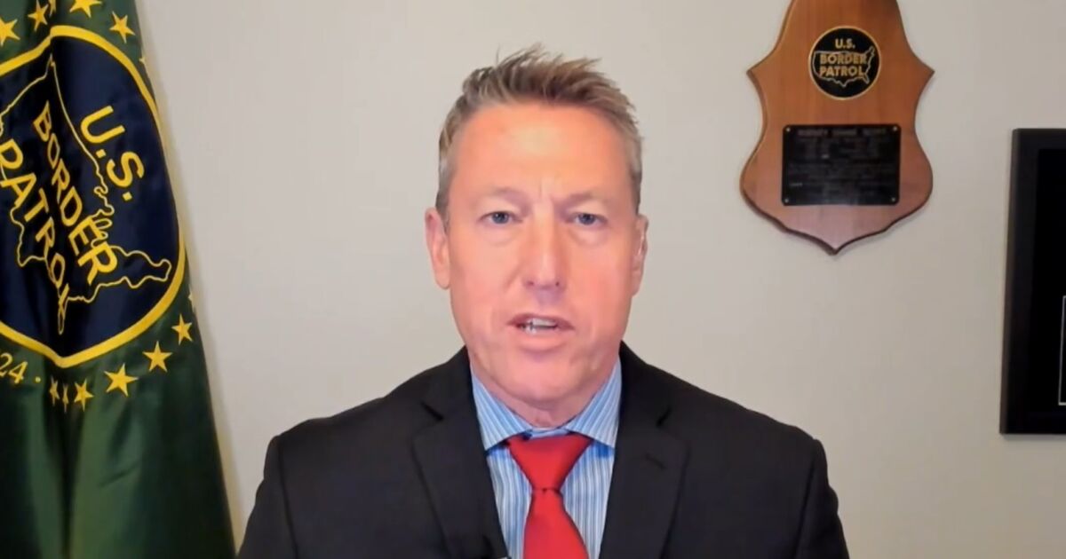 Pull Factors Encouraging Illegal Immigration: Rodney Scott | NTD