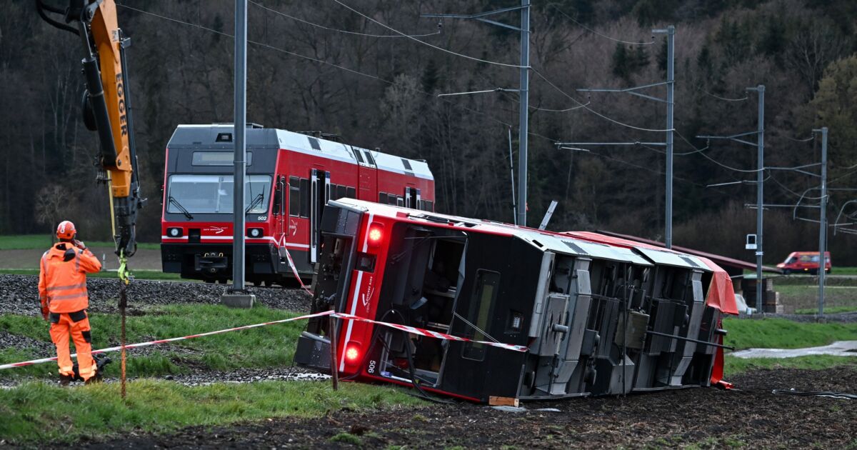 Several Injured as 2 Swiss Regional Trains Derail in Storm | NTD