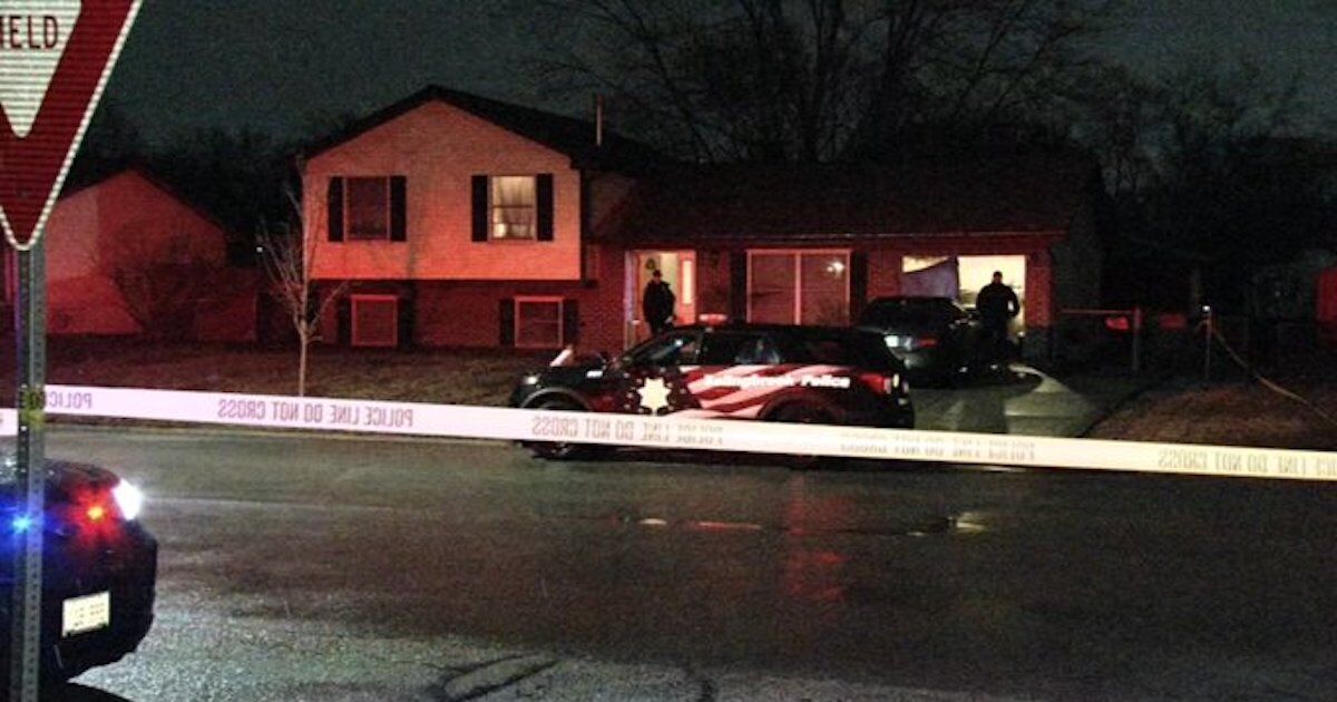 Police Say 3 Dead, 1 Wounded in Shooting at Illinois Home | NTD