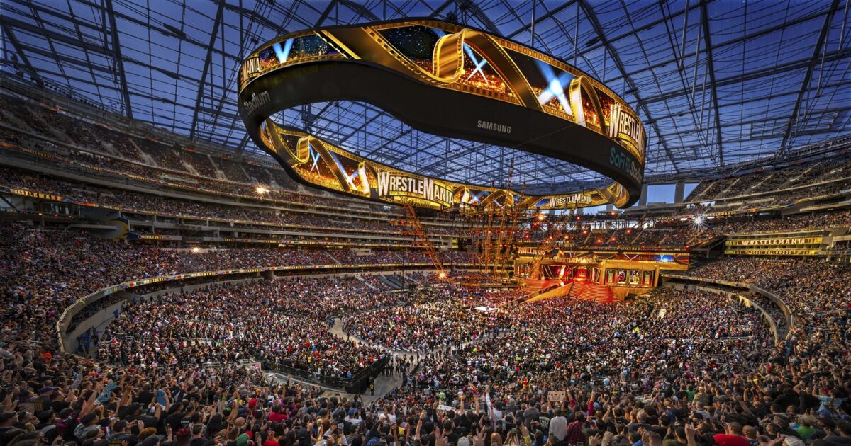 UFC, WWE Combine to Form $21.4 Billion Sports Entertainment Company | NTD