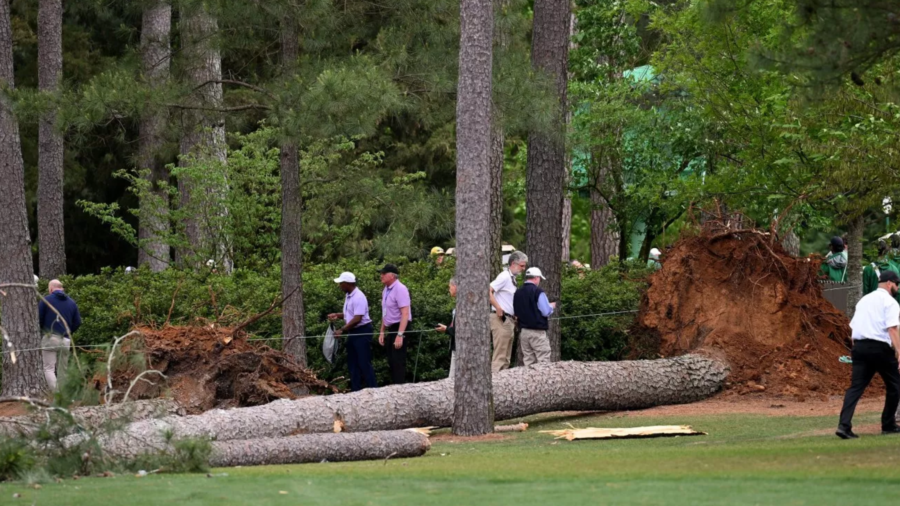 Trees Topple Near Crowd at Masters Golf Tournament | NTD