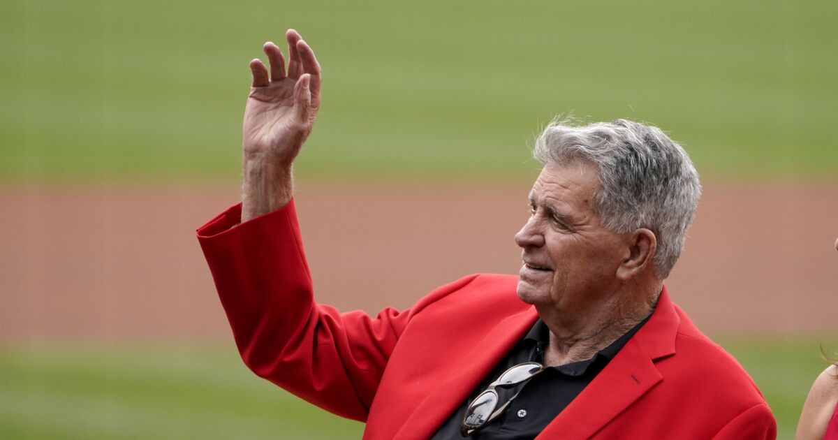 Cardinals Broadcaster, World Series Champ Mike Shannon Dies | NTD