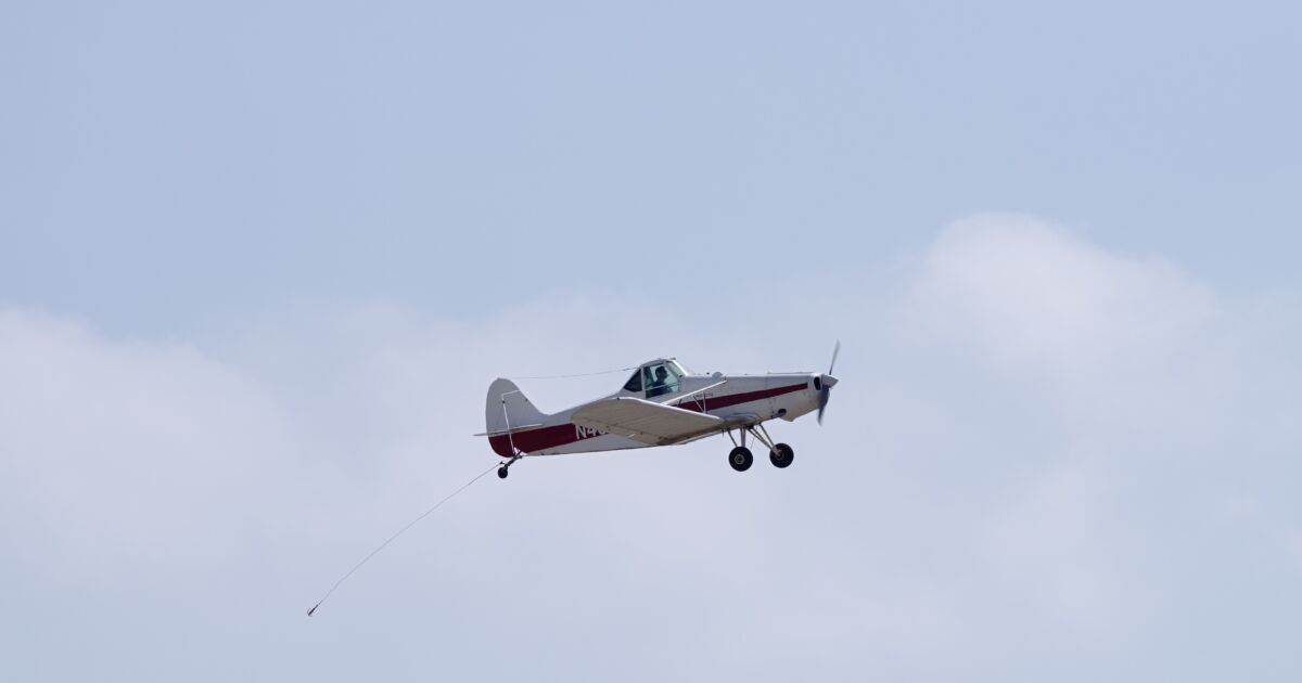 Pilot Killed in Small Plane Crash in South Florida | NTD