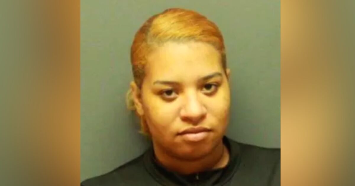 Mother Pleads Guilty to Felony Child Neglect After 6-Year-Old Son Used ...