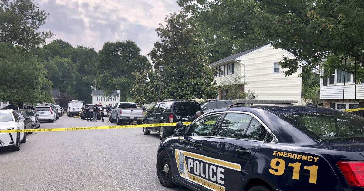 Police: Maryland Fatal Shooting of 3 Happened After Parking Dispute | NTD