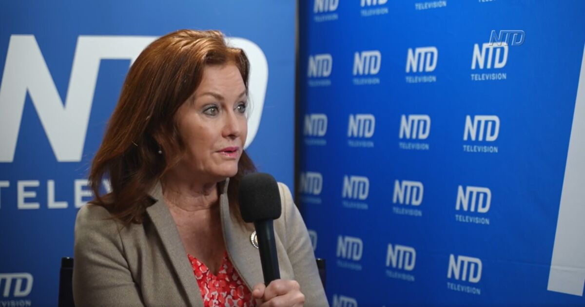 Del. Anne Ferrell Tata on Human Trafficking | NTD