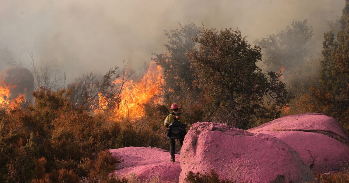 California Firefighters Battle Several Wildfires in Riverside County | NTD