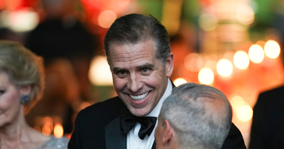 Hunter Biden Friend Worked for Prosecutor After Investigation Into ...