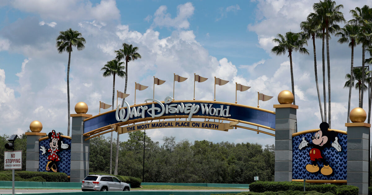 Disney Argues Arbitration Terms Block Wrongful Death Suit From Trial | NTD