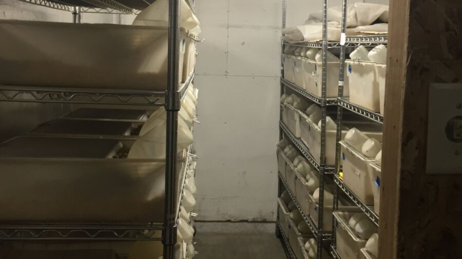 'It's Quite Scary' There Was an Unlicensed Chinese Bio Lab in the US ...