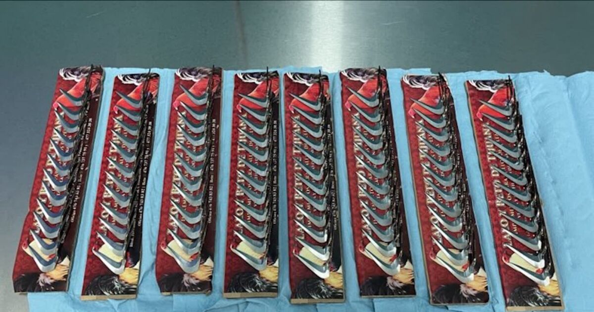 Customs Officers Seize Illegal Rooster Blades Used in Cockfighting ...