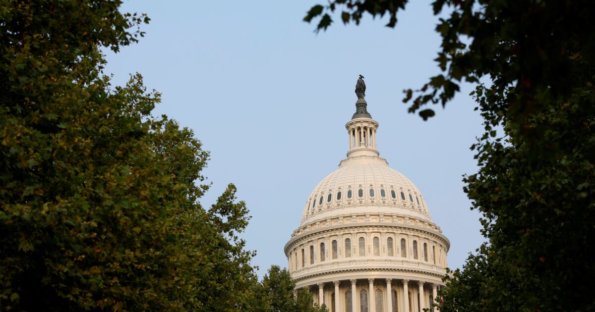 Heightened Risk of Government Shutdown : Goldman Sachs | NTD