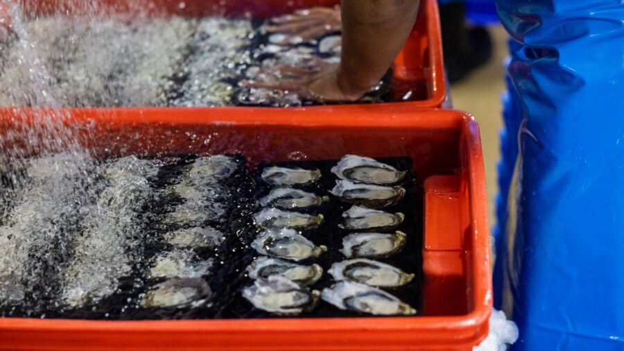 2 Connecticut Deaths Linked to Bacteria Found in Raw Shellfish | NTD