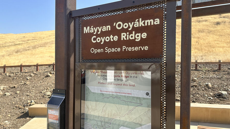 New Máyyan 'Ooyákma Coyote Ridge Open Space Preserve in Silicon Valley ...