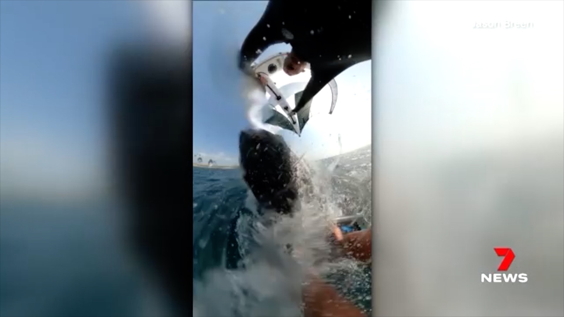 Caught on Camera: Australian Windsurfer Hit by Airborne Whale | NTD