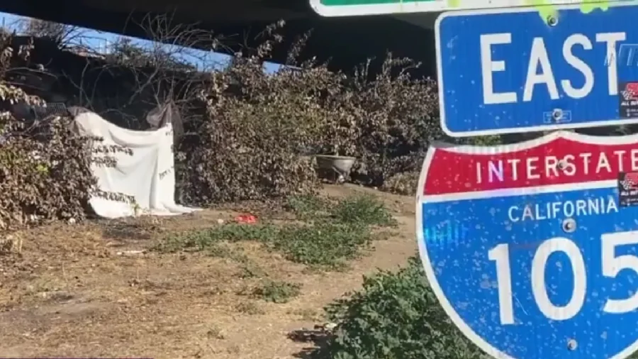 Fire Breaks Out Under Another Freeway in Los Angeles | NTD