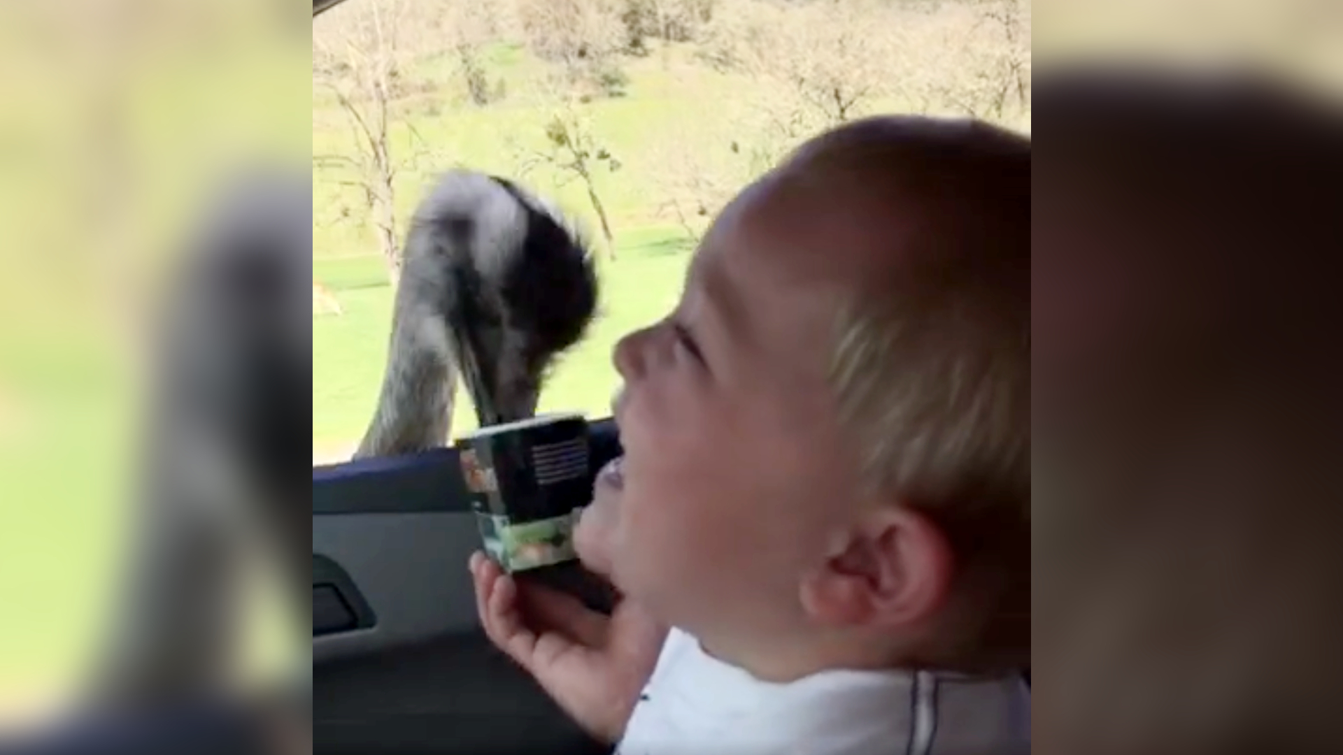 Toddler Laughs at Ostrich Eating | NTD