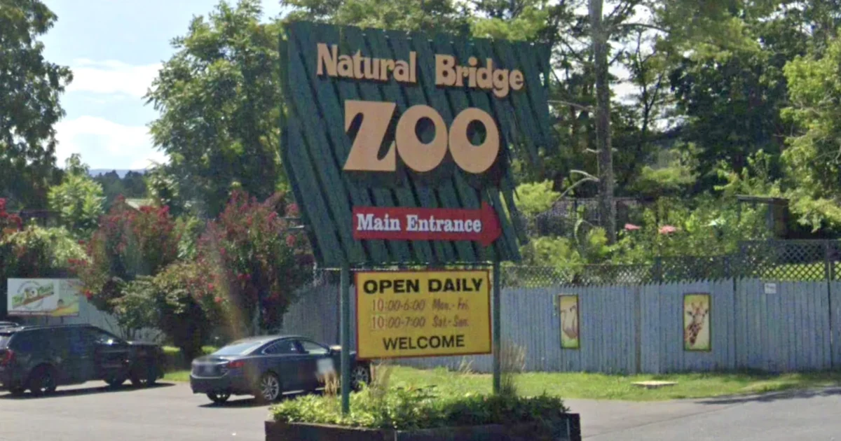 Dozens of Animals Taken From Virginia Roadside Zoo as Part of ...