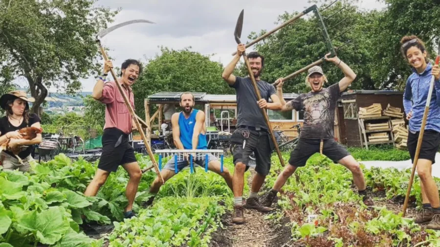 4 Young Friends Spent Their Life Savings to Buy a Farm and Live Their ...