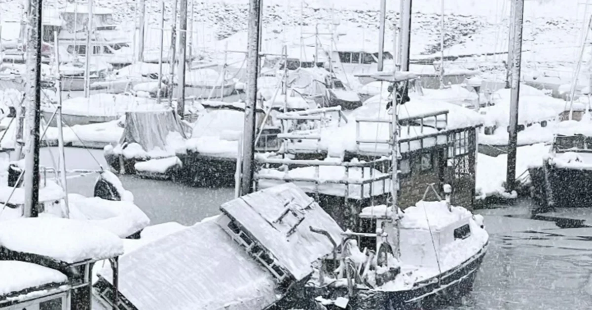 Dangerously Cold Temperatures Blast Much of US, Causing Power Outages ...