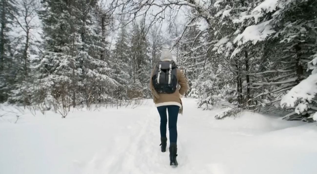 Skincare Adjustments for the Biting Cold of Winter | NTD