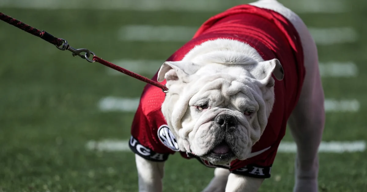 Former Georgia Bulldog Mascot Uga X Dies With 2 National Championships ...
