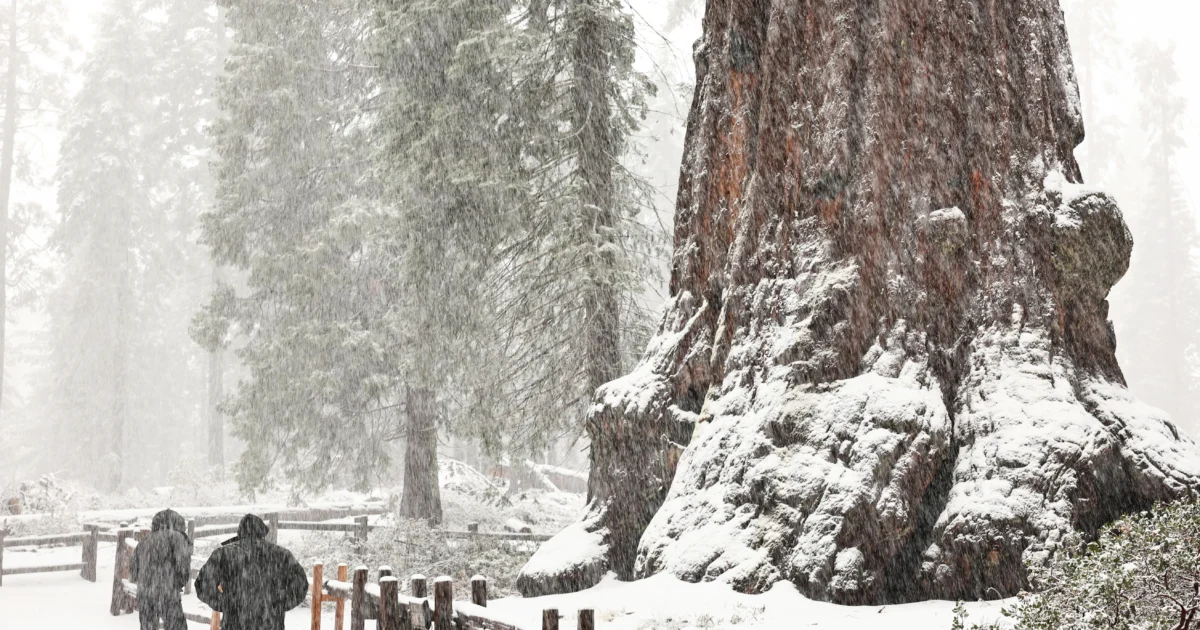 Atmospheric River Drenching Southern California Before Another Sweeps ...