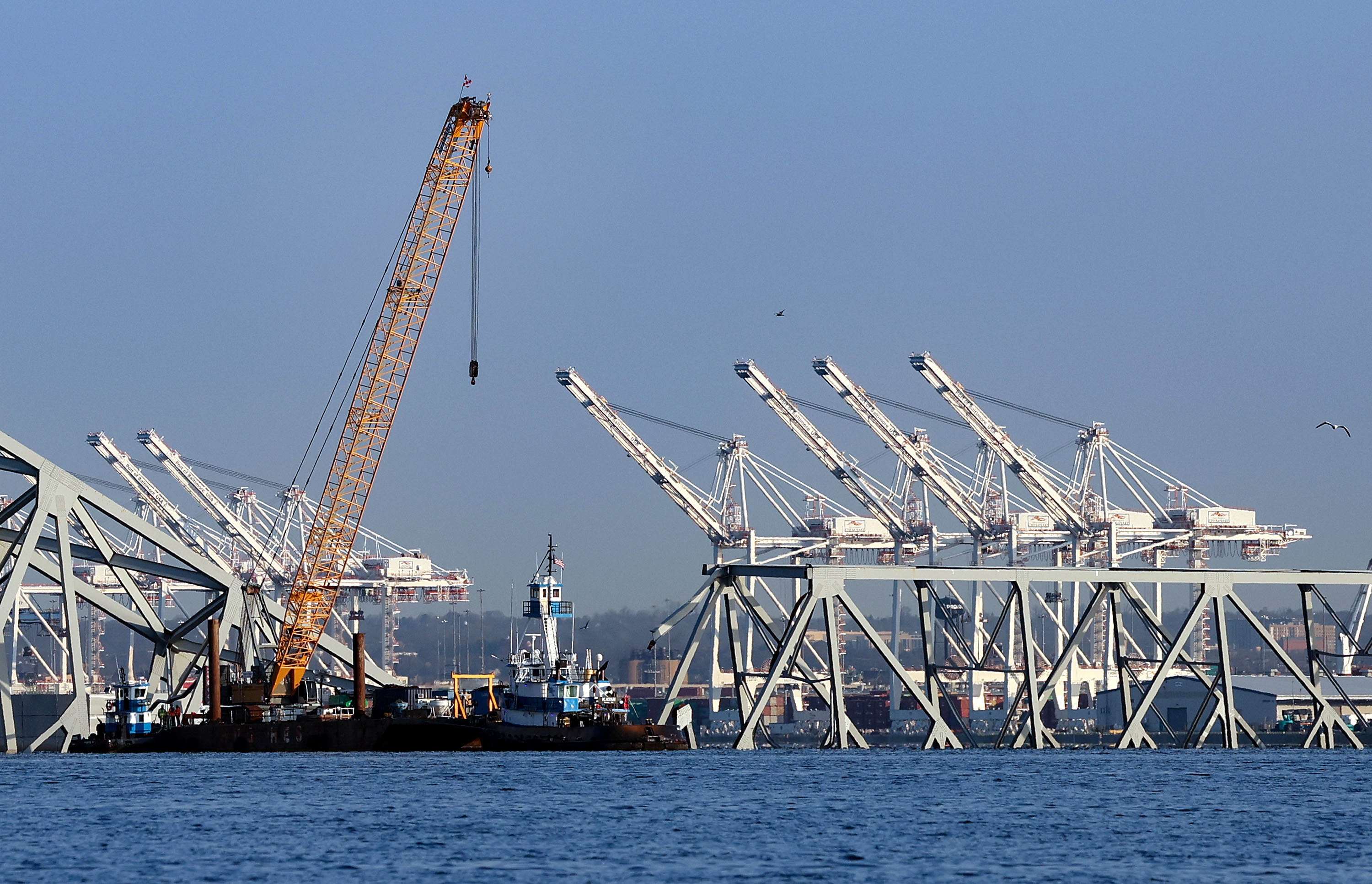 Baltimore Bridge Had ‘Dolphin Barriers,’ But Container Ship Avoided ...