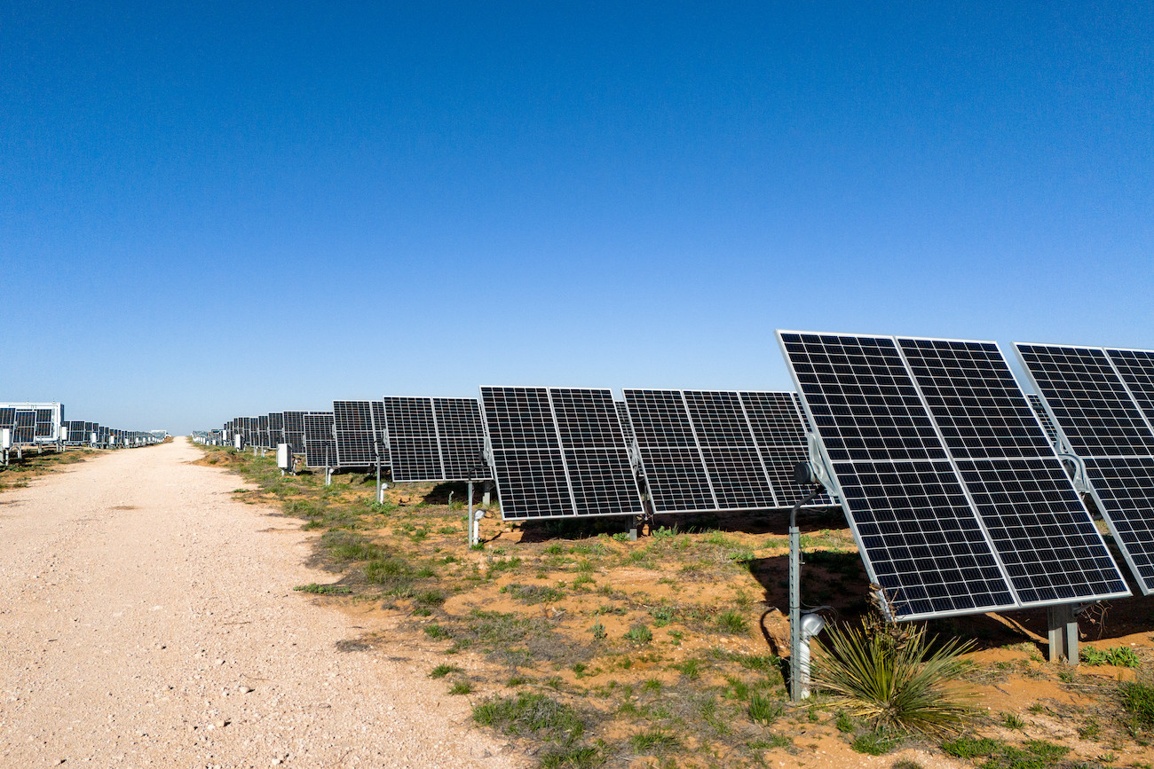 Texas Solar Farm Battered by Hail Sparks Concerns About Health Safety and Sustainability | NTD