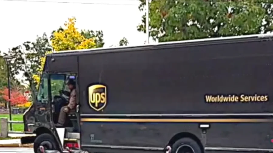 UPS Driver Escorts Wild Turkeys Through Busy Intersection | NTD