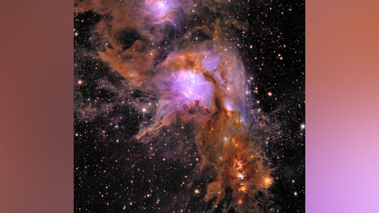 Massive Cradle of Baby Stars Revealed in New Space Telescope Images | NTD