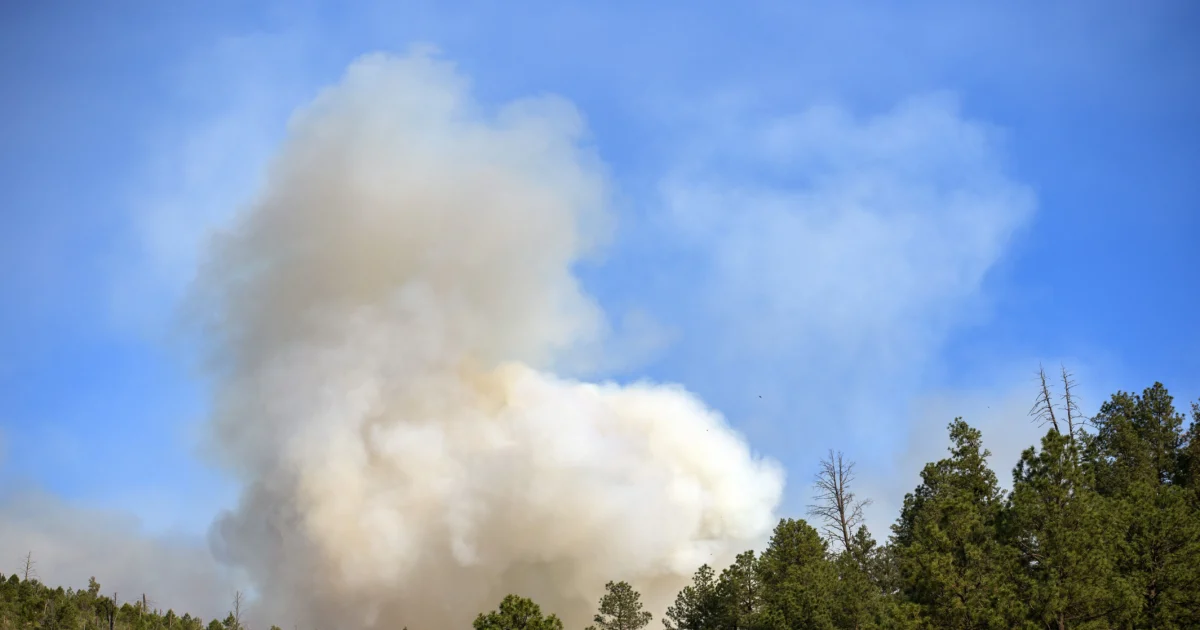 Fires Force Evacuation in New Mexico Village | NTD