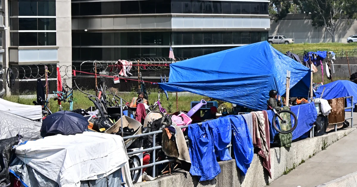 Luxury Homeless Shelter Opens in Downtown Los Angeles | NTD