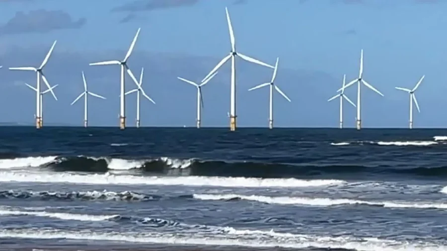 Conservatives' Environmental Pledges 'More Extensive' Than Expected ...
