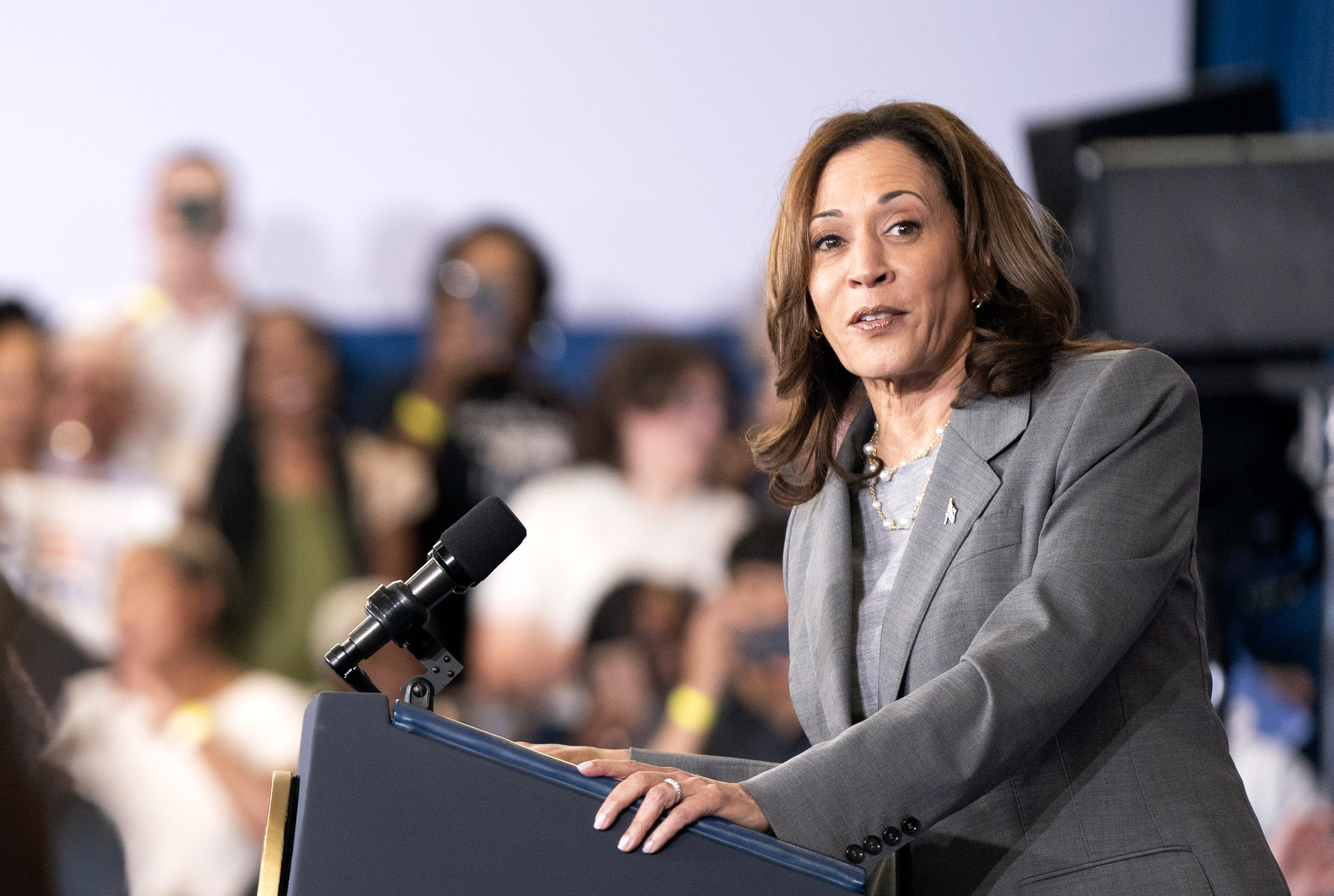 Democrats, State Chairs Support Harris in Wake of Biden’s Exit From ...