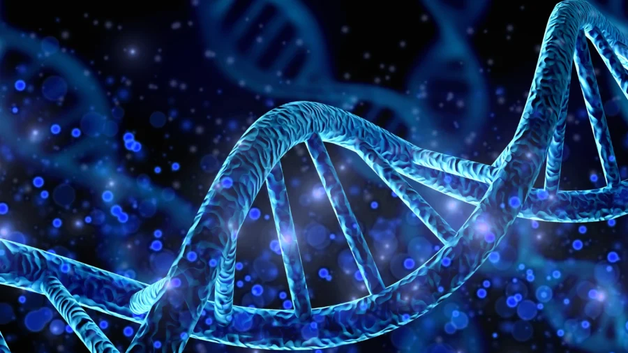 DNA Evidence Identifies Skeleton Found In National Park After 25 Years ...