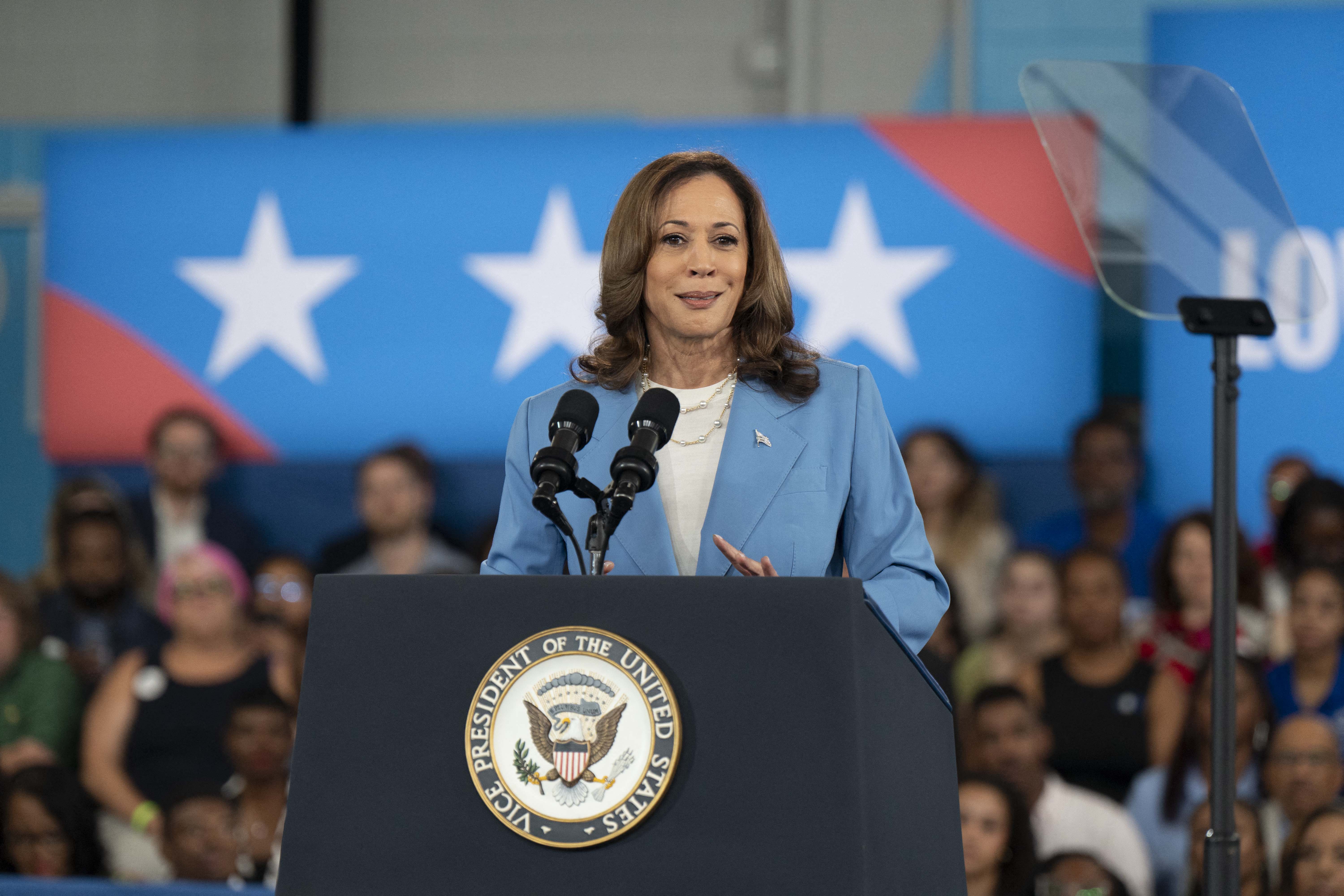 Key Points of Kamala Harris’s Economic Platform | NTD