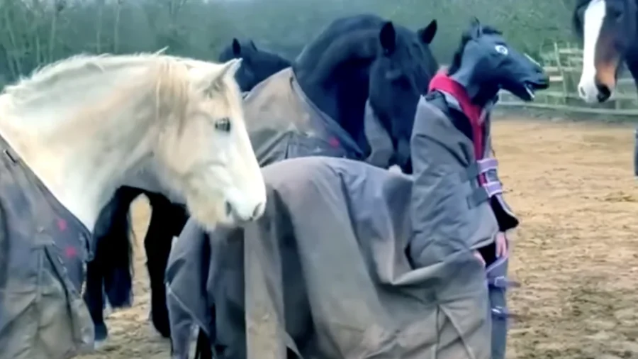 People Dress Up as Horses and Interact With Them | NTD