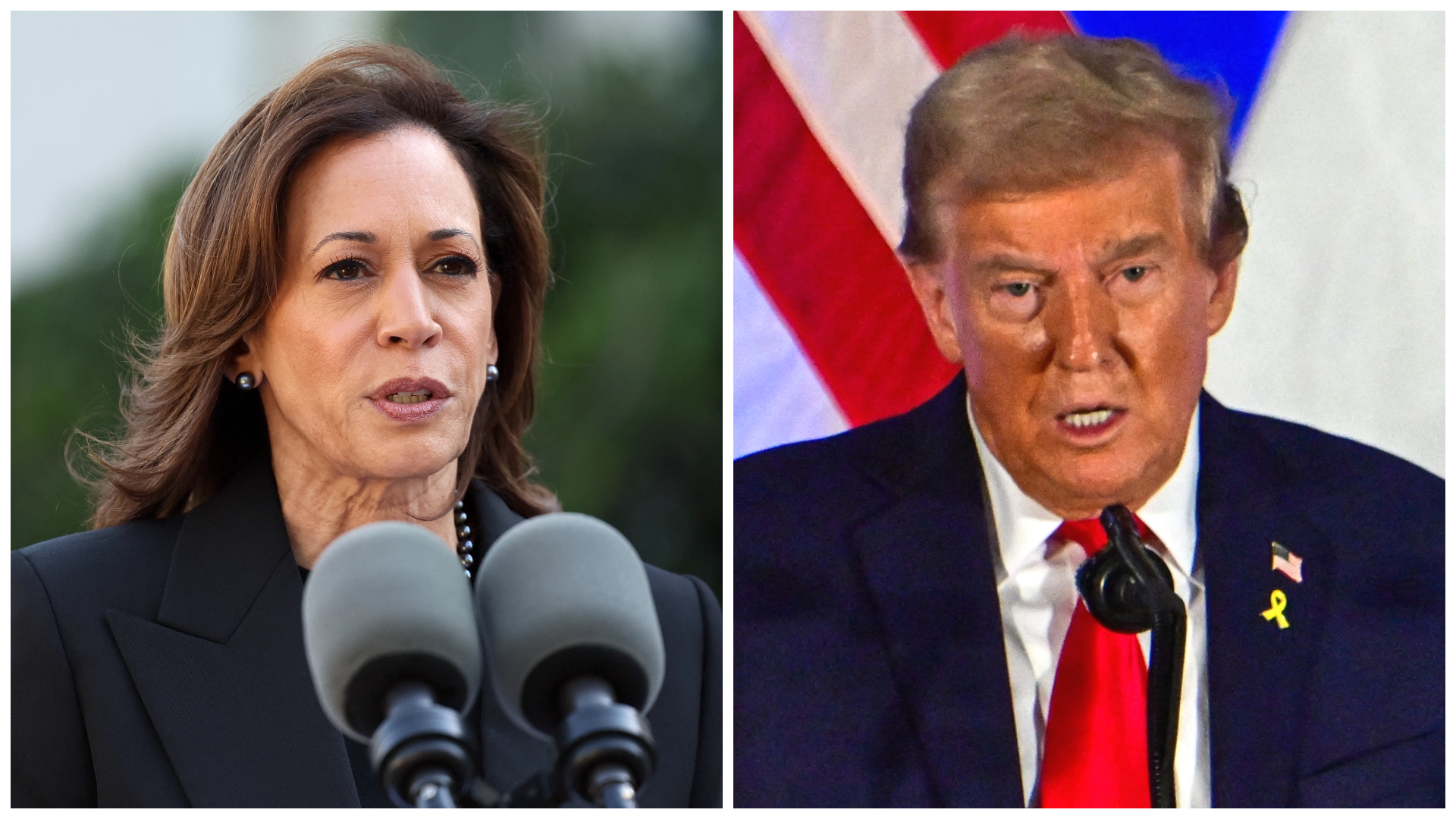 Republican, Democratic Party Strategists Hash Out Latest on ...