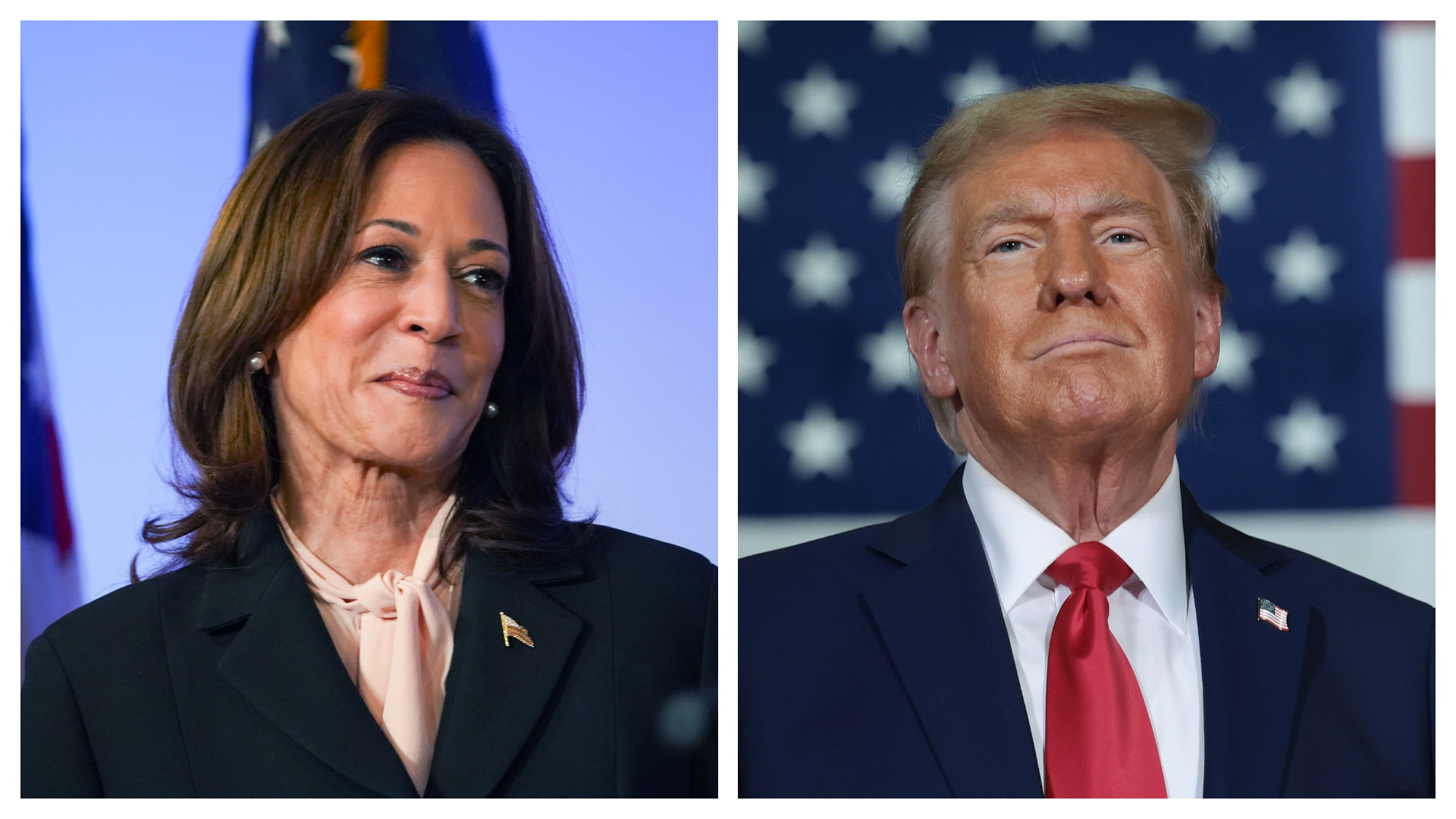 NTD Data Hub Analysis: In-depth Look at How Slight Changes in Voter ...