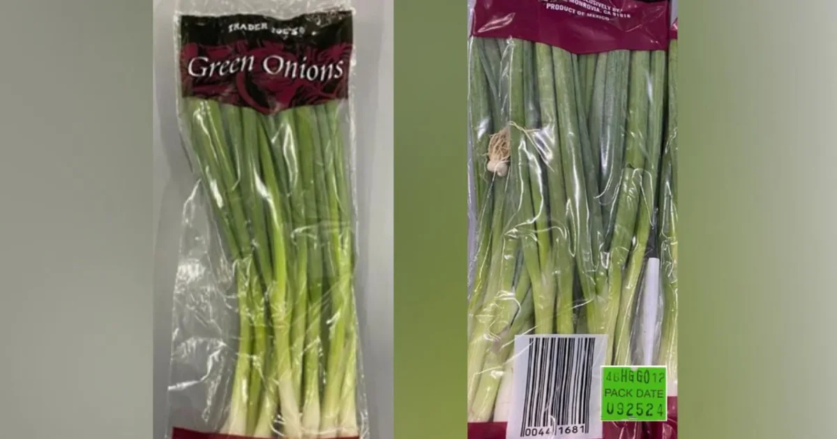 Church Brothers Farms Recall Green Onions Due to Possible Salmonella ...