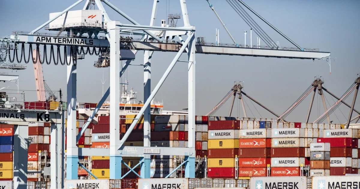 8 Arrested in $200 Million Operation Smuggling Counterfeit Chinese ...