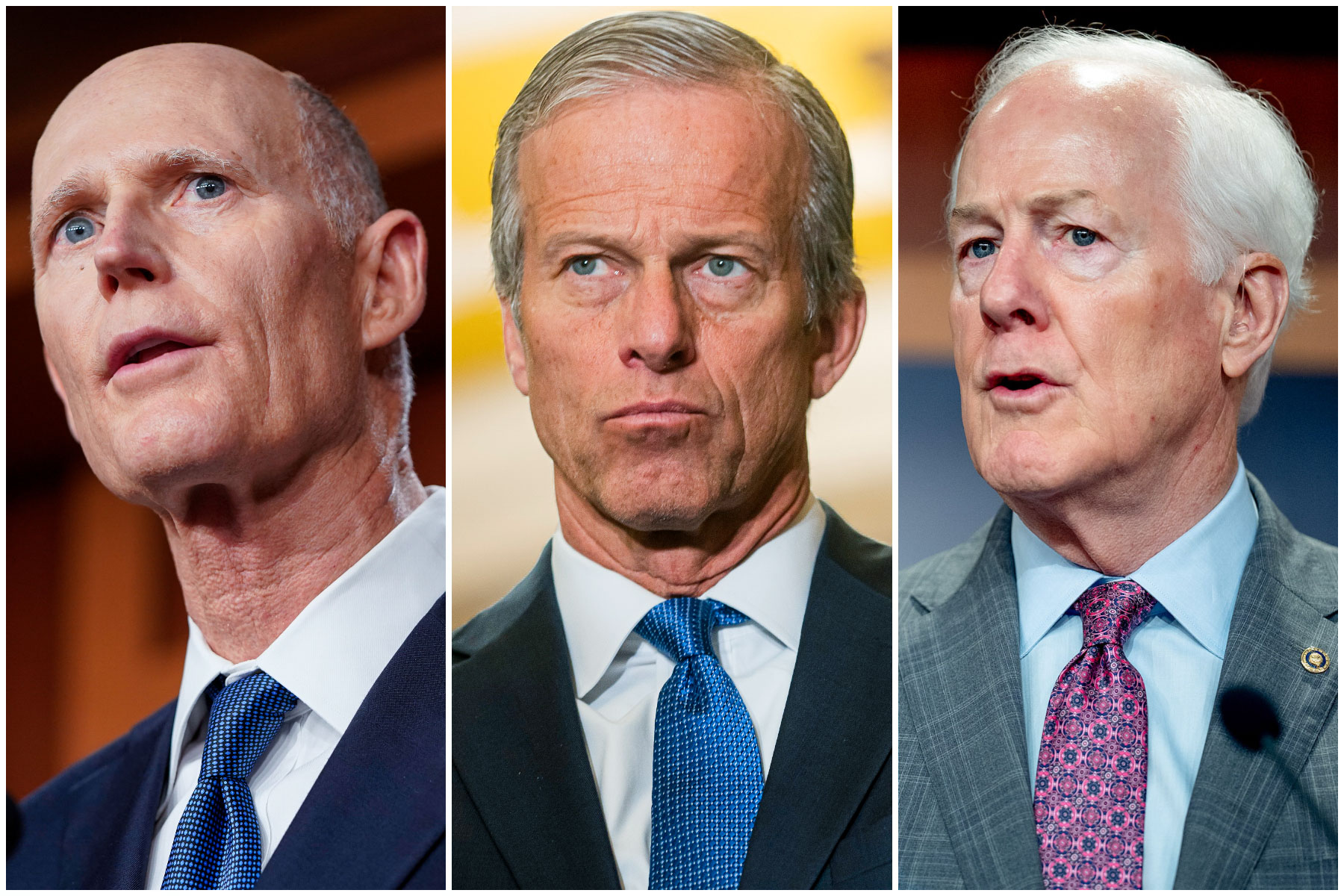 A Closer Look at the 3 Candidates for Senate Republican Leader | NTD