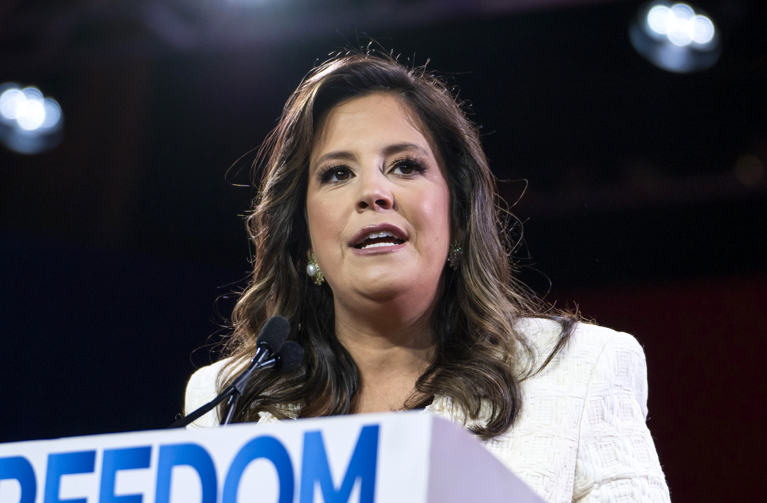 New York State Sen. Dan Stec Throws Hat in Race to Succeed Elise ...